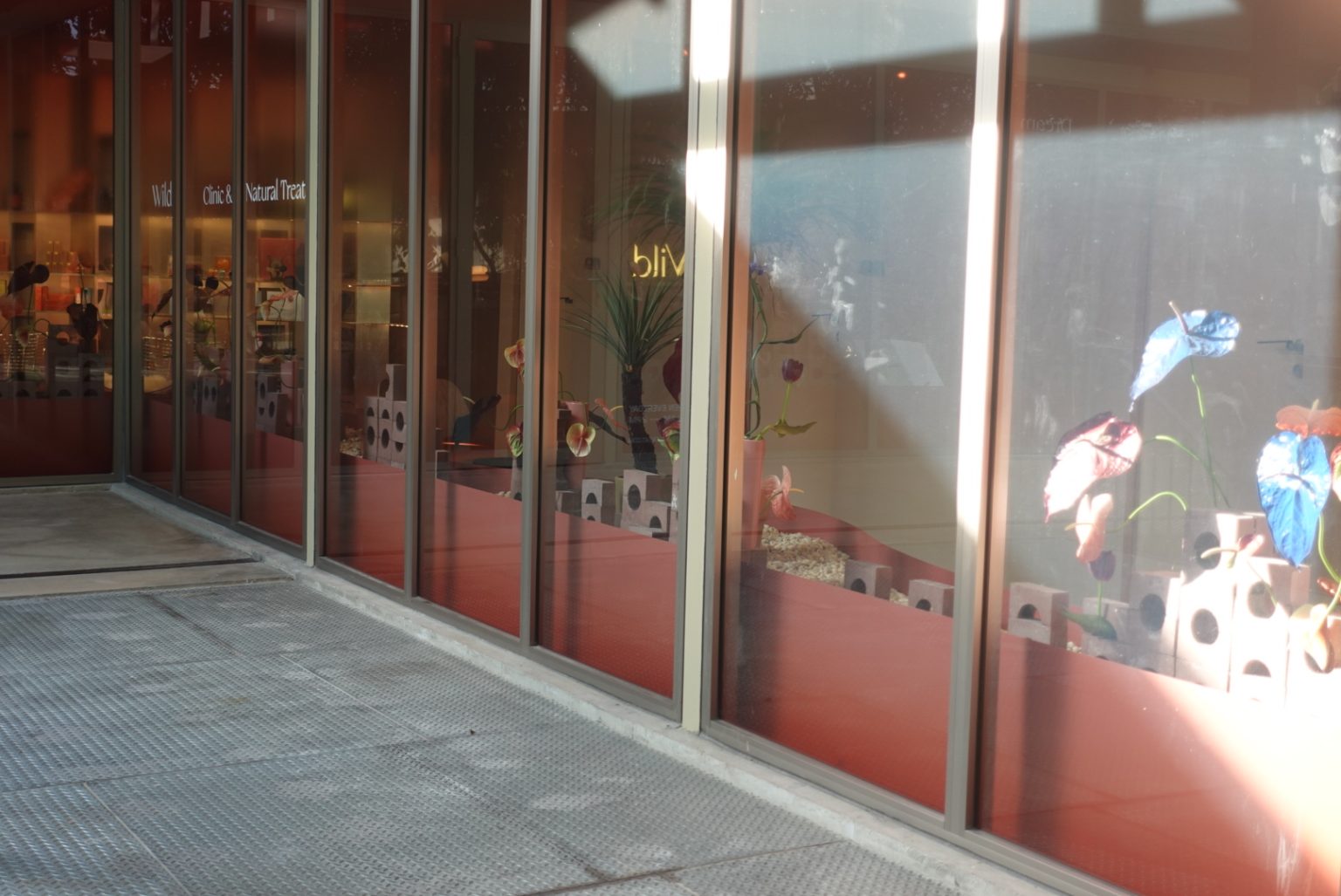 Turning Trash into Building Blocks for the Future: Loqa’s Circular ...